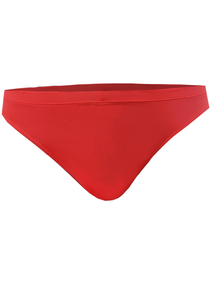 Pride Bikini by Pride USA: Sexy Mens Swim Bikini | The Underwear Store